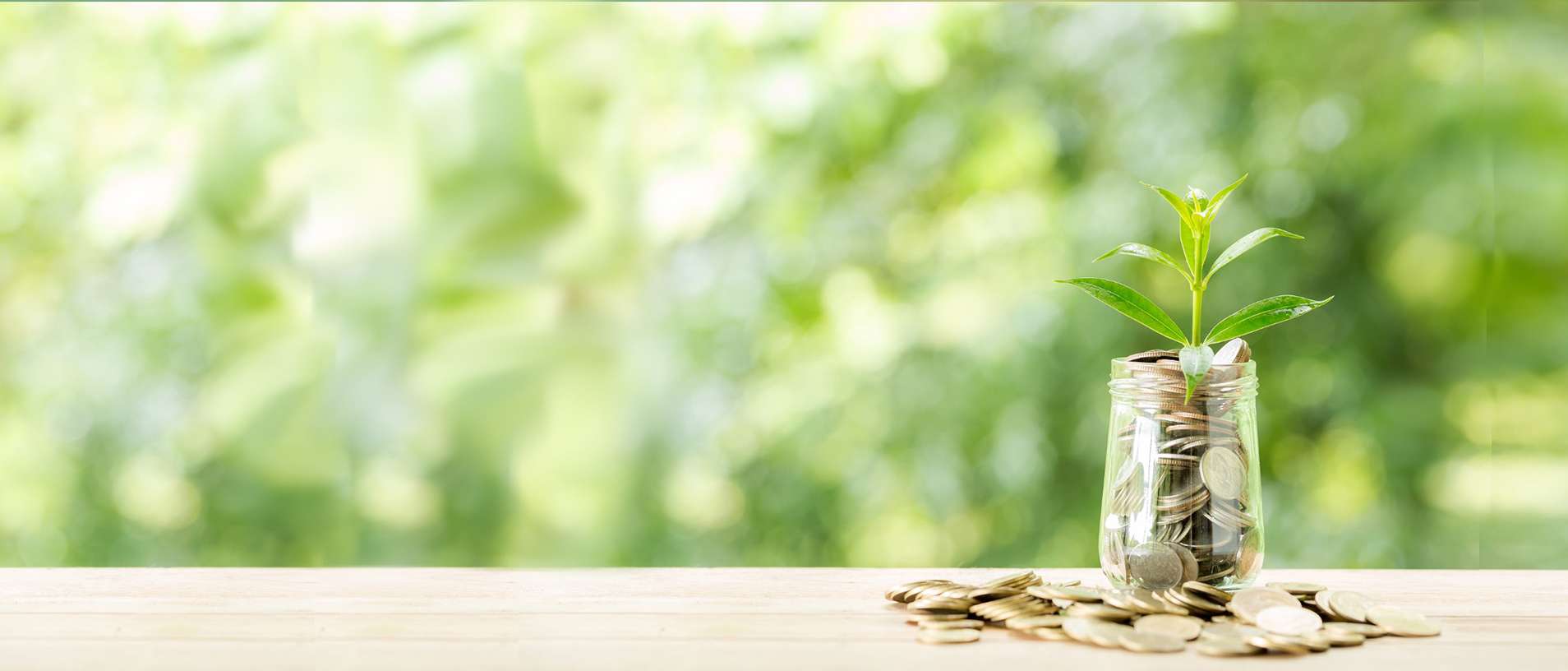 Home - Mint Business Solutions