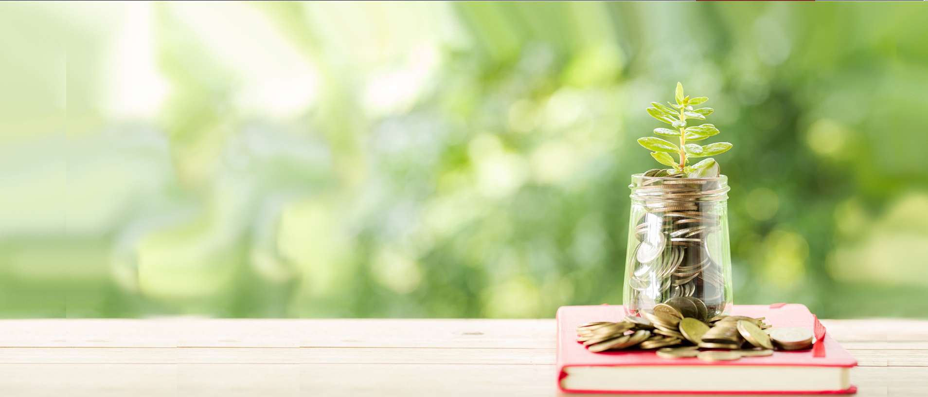 Home - Mint Business Solutions